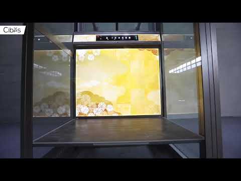 Home lift Home elevator Aurora Tuscan Sun - YouTube