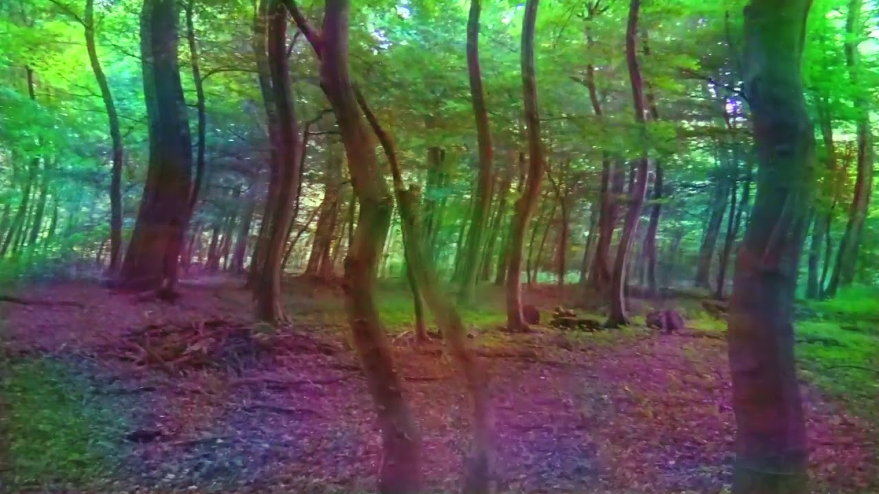 Psychedelic Trip - YouTube