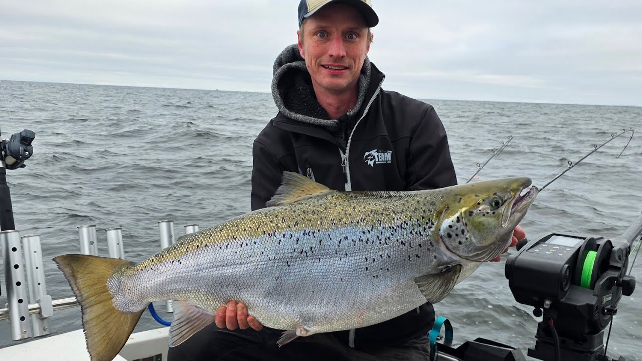 Storlax på Vänern februari 2025 - YouTube