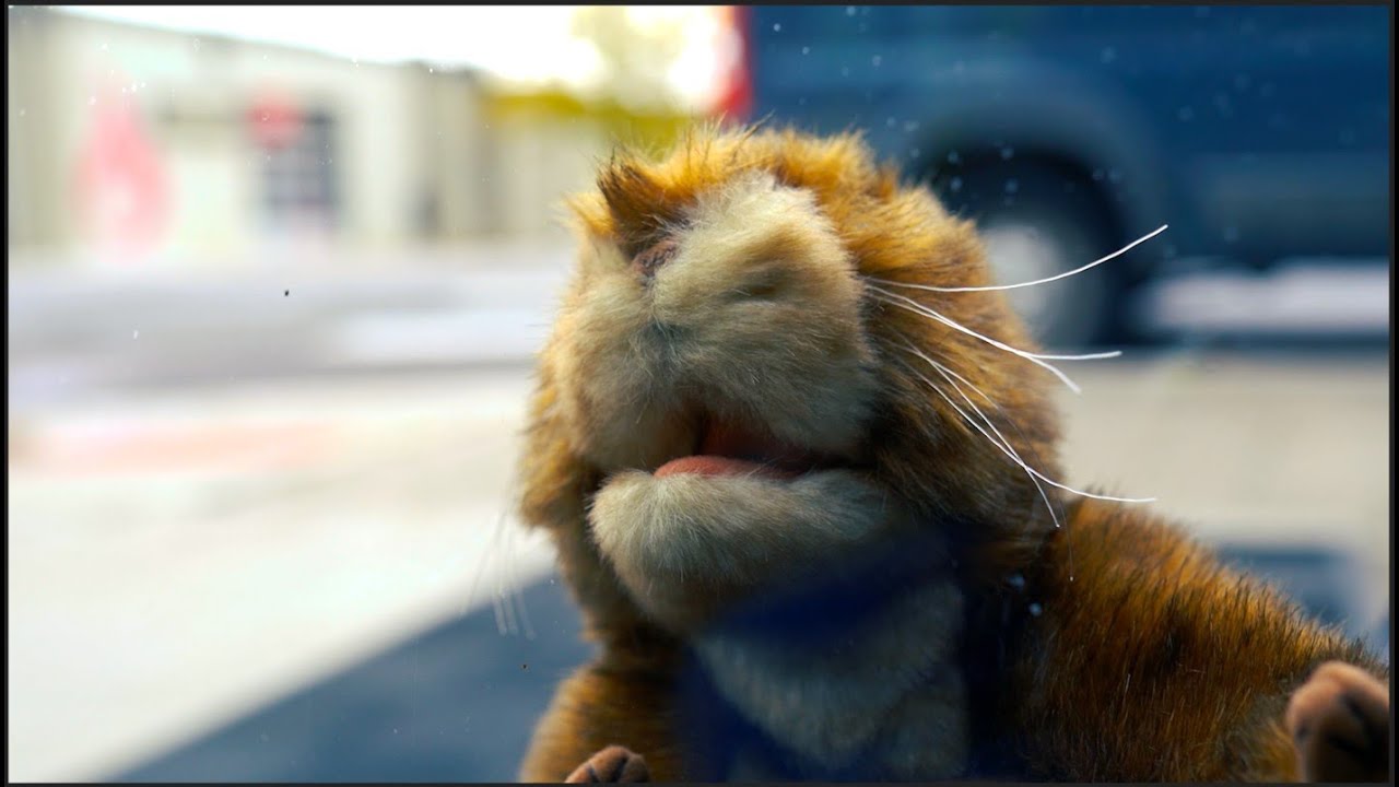 What Does Onus Mean? - YouTube