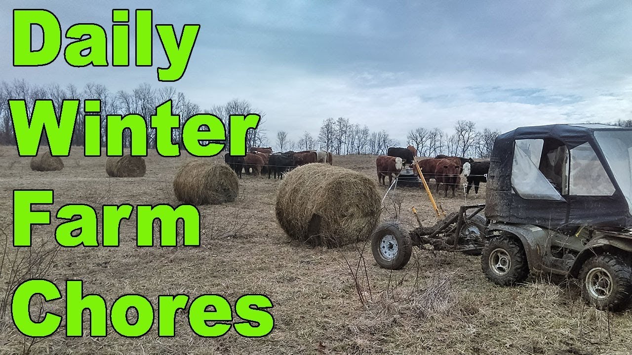Farm Life / Winter Farm Chores / Daily Routine - YouTube