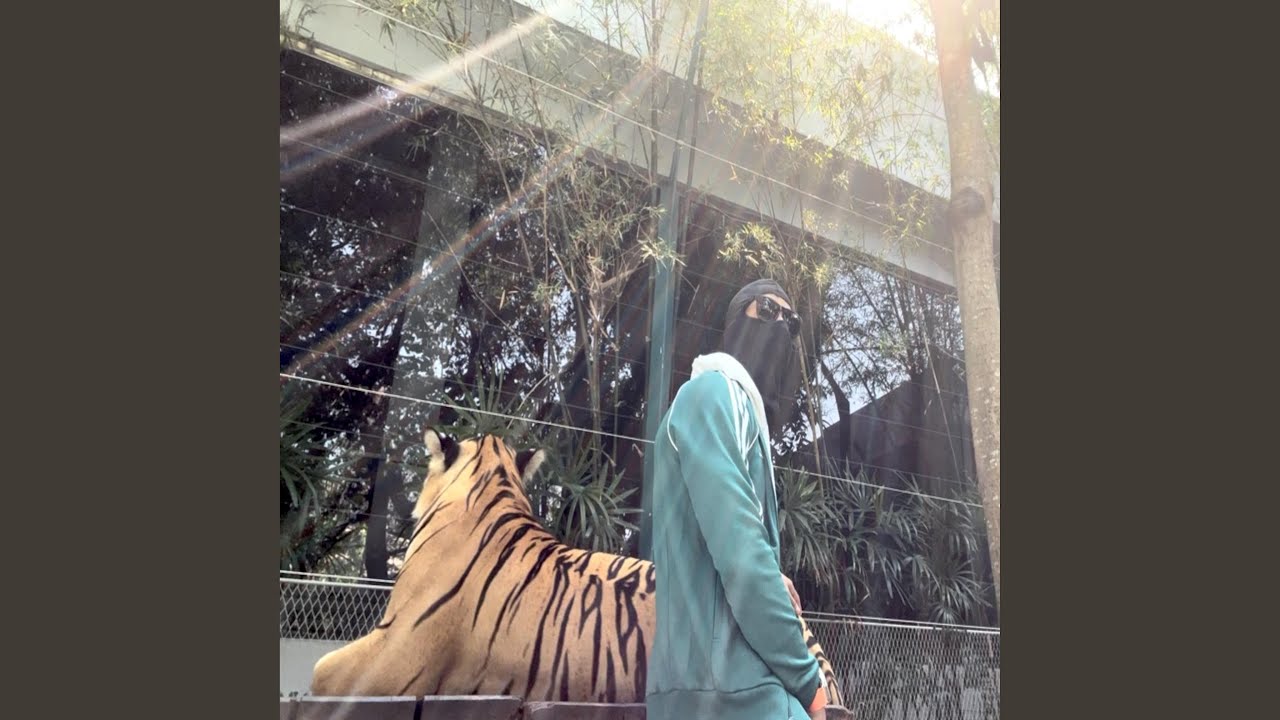 Everyday Evolution Energy - YouTube