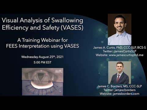 VASES Training Webinar for Standardized FEES Interpretation - YouTube