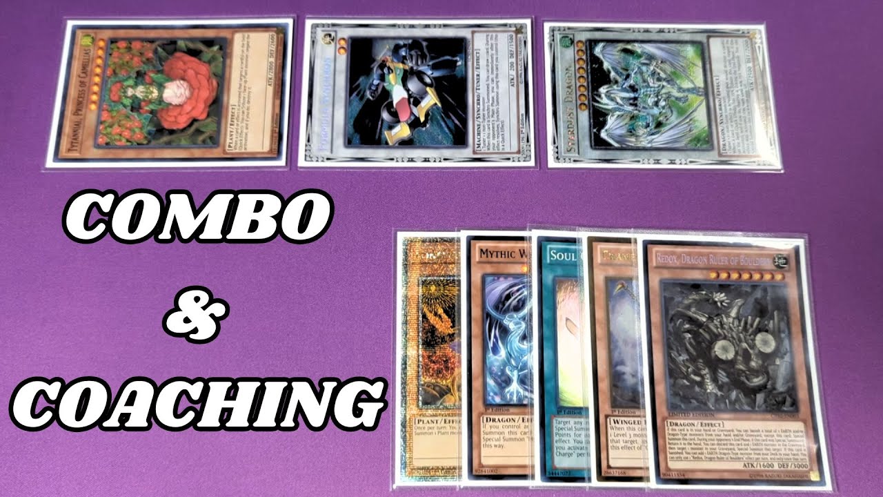 Mythic Plant Ruler Combo & Coaching Guide! | 2014 Yu-Gi-Oh! WCQ HAT ...