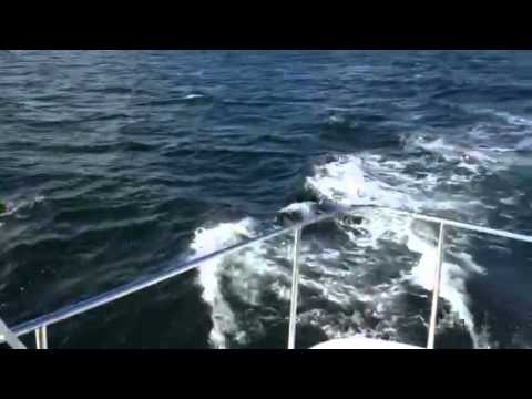4 to 6 foot seas Penobscot Bay maine 36 foot main ship traw - YouTube