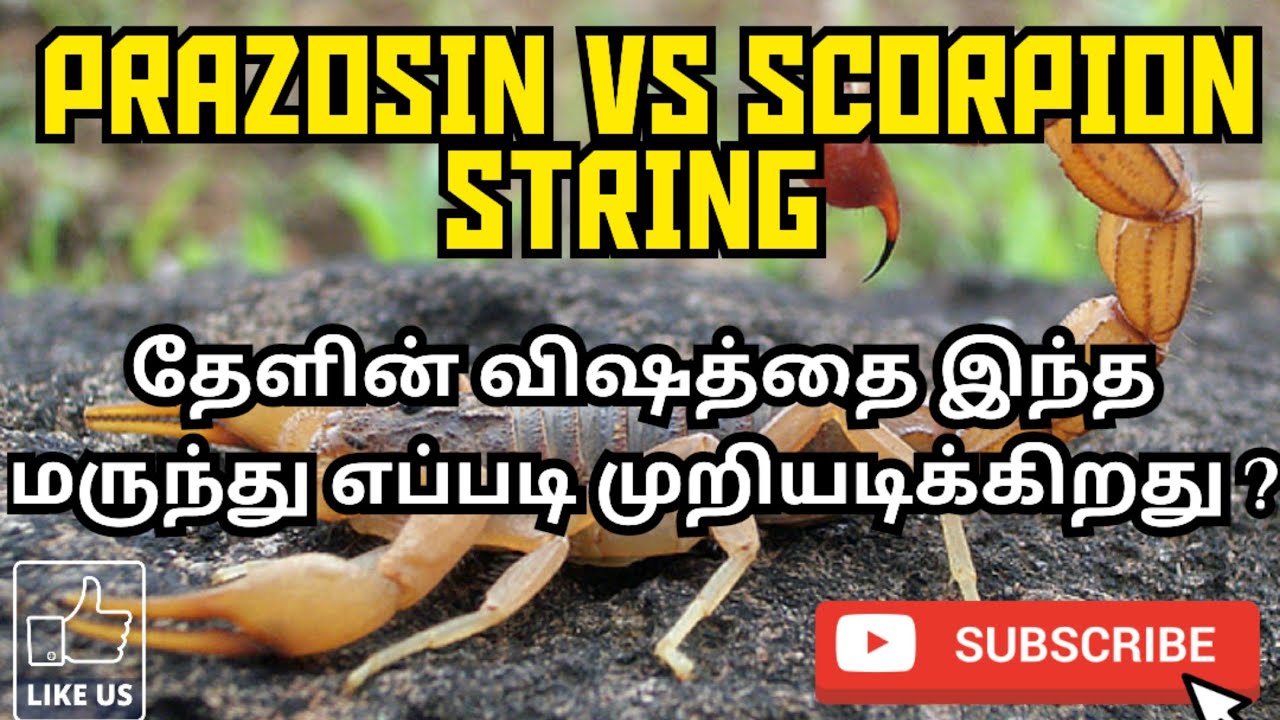 SCORPION STRING VS PRAZOSIN | SYMPTOMS | MECHANISM OF VENOM ...