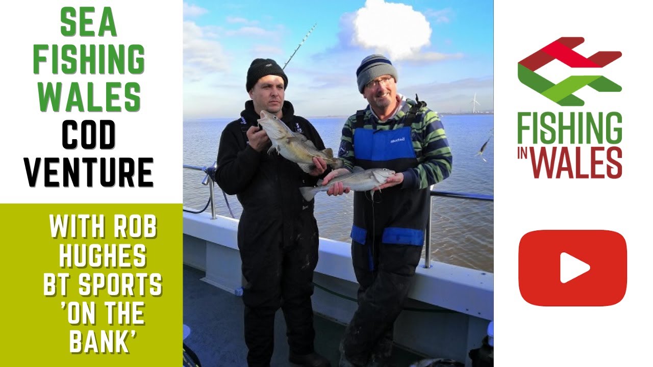 Fishing In Wales - Cod Venture - YouTube