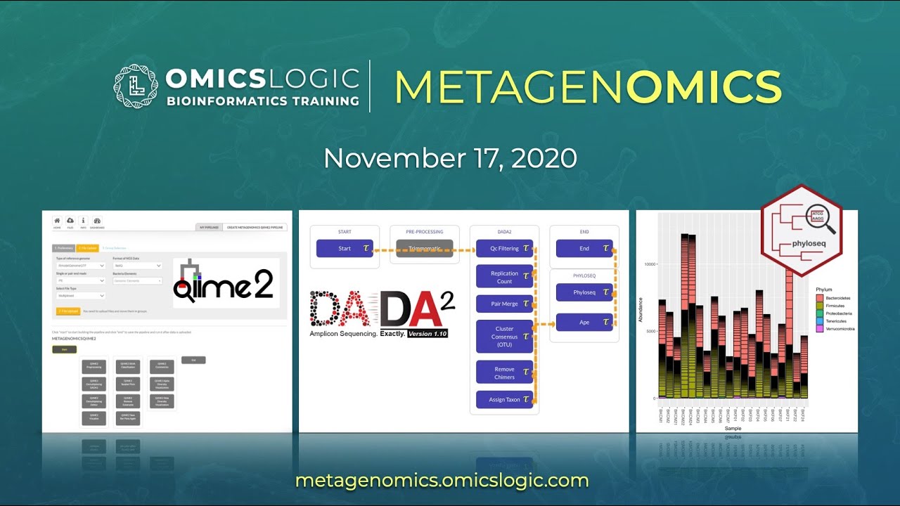 Analysis of Metagenomics Sequencing Data: Microbiome and its Role in ...