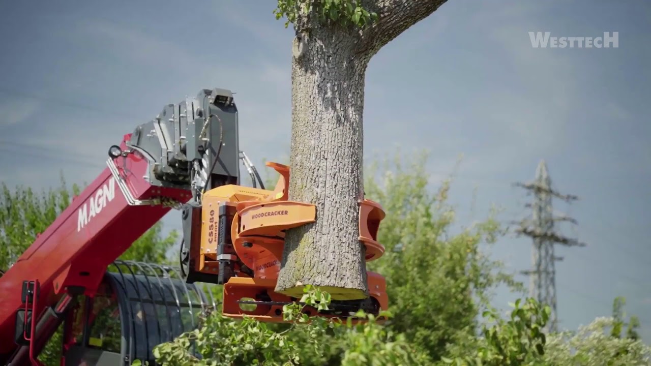 MAGNI Telescopic handler with tree attachment - YouTube