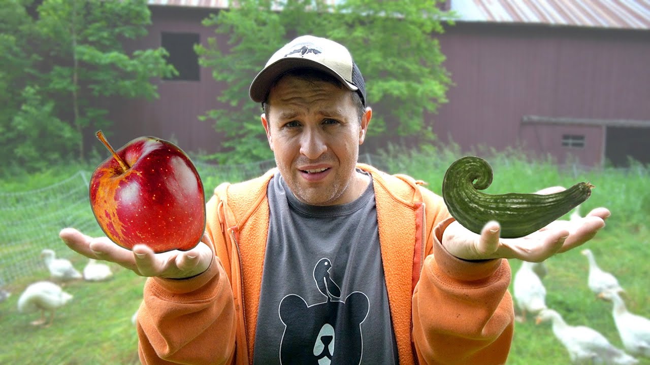 Ugly Produce Boxes are a SCAM - YouTube