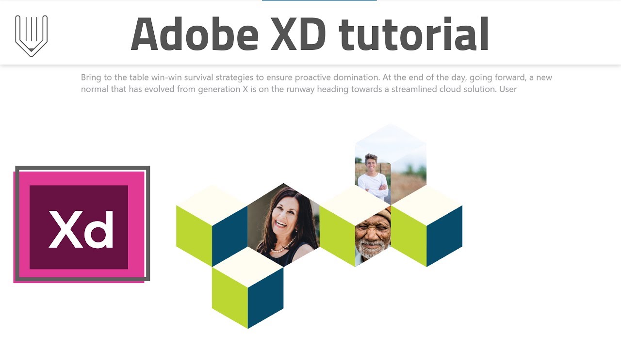 Web design tutorial | Create photo grid inside Adobe XD - YouTube