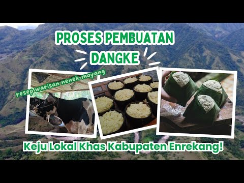 Proses Pembuatan Dangke (Keju Lokal Khas Enrekang) - YouTube