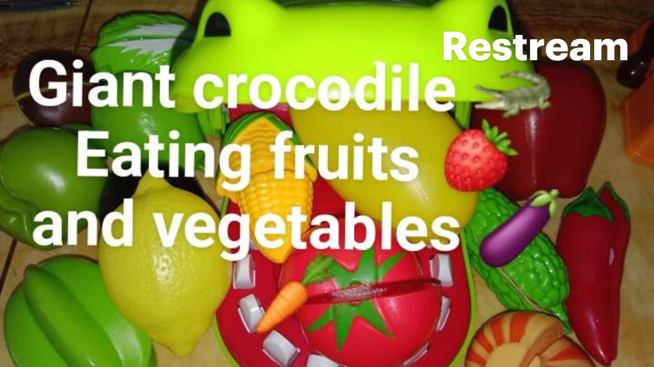 GIANT CROCODILE EATING FRUITS AND VEGETABLES - YouTube