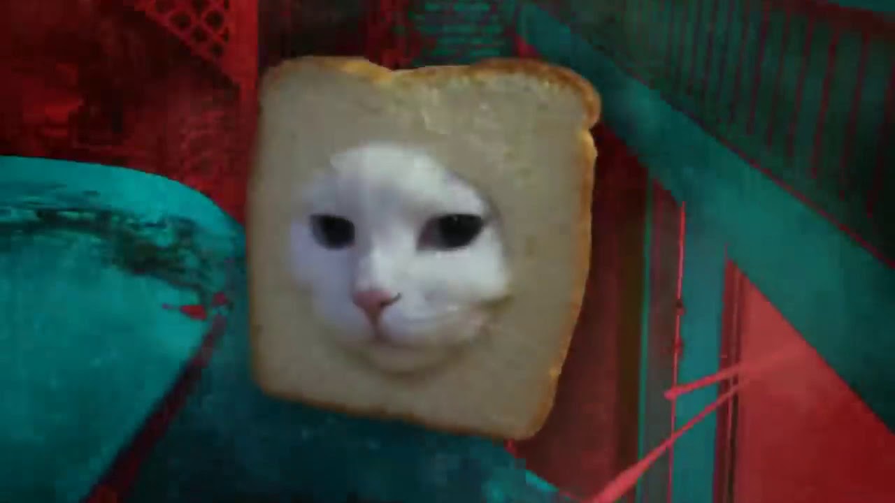 DANKEST CAT MEMES - YouTube