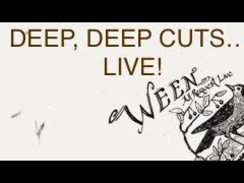 SUPER DEEP, SUPER BROWN! Ween, All Request Live INTERNET STREAMING ...