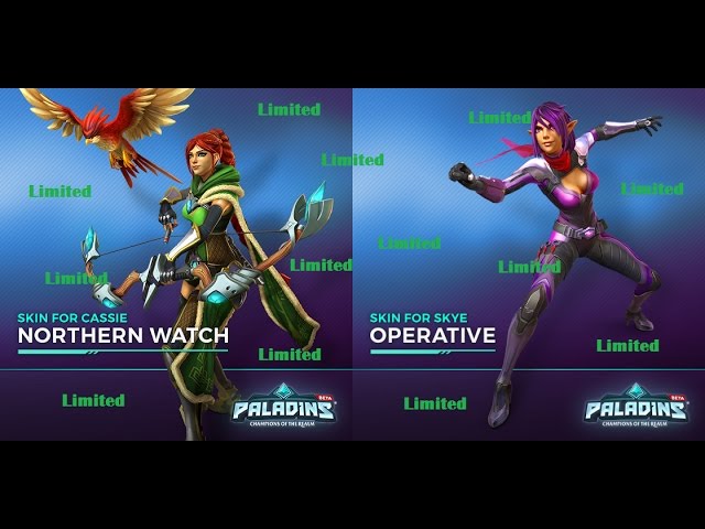 Paladins Codes SOLVED] Make Advances Paladins Stopping Help! Level