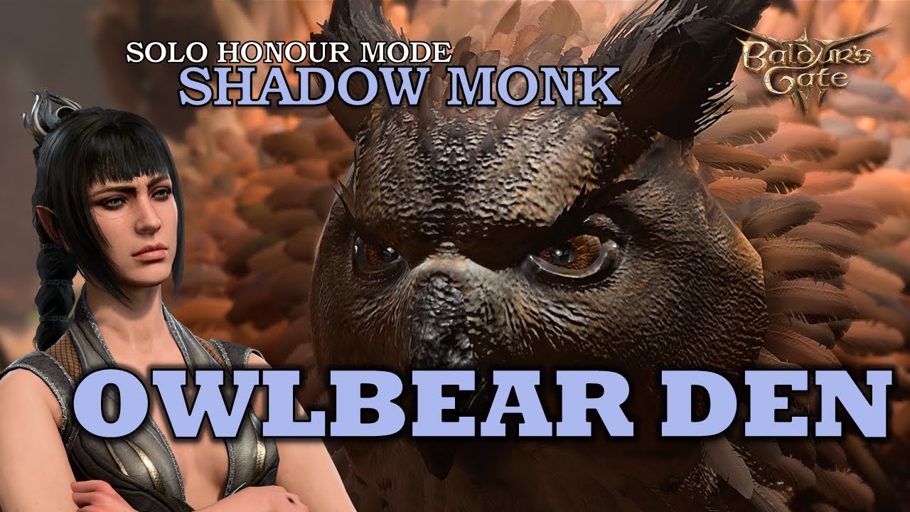 Solo Shadow Monk - Owlbear Den - Honour Mode - YouTube