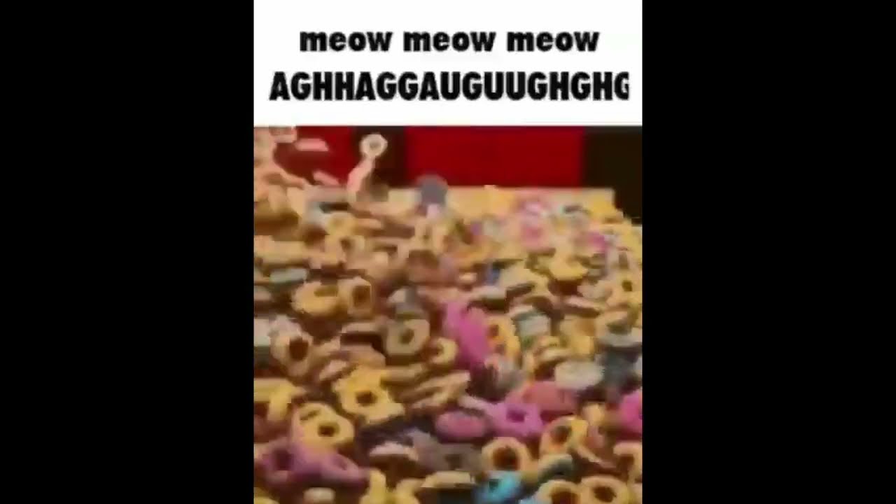 [1H] MEOW MEOW MEOW AGHHAGGAUGUUGHGHG 1 HOUR - YouTube