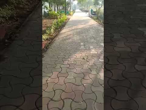 morning walk at matariya talav Bharuch Gujarat - YouTube