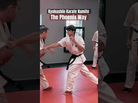 Kumite! Kyokushin Karate Black Belt Sparring #karate #sparring #shorts #short #training #osu