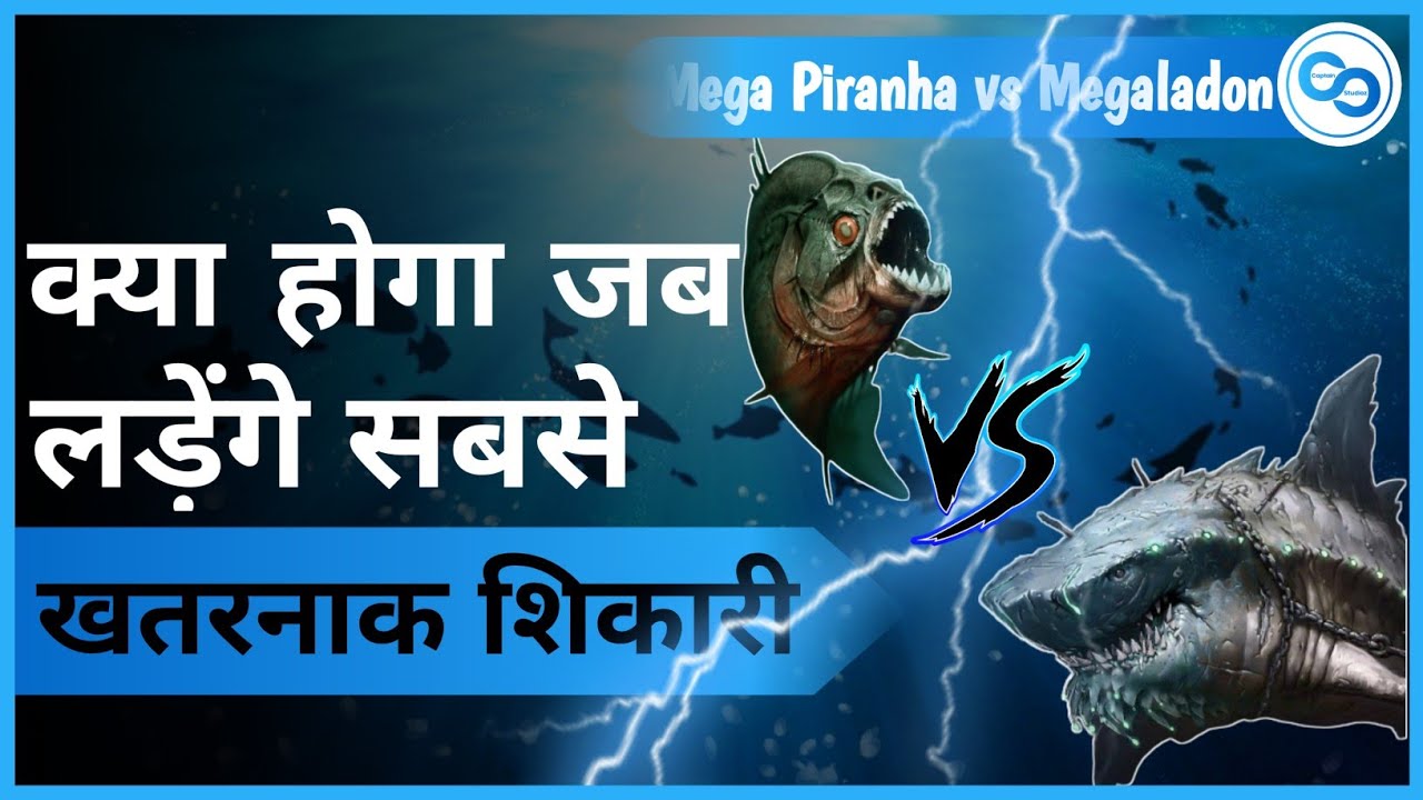 Mega Piranha Vs Mega Shark
