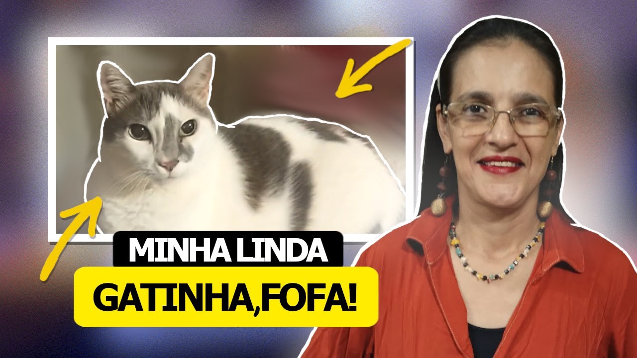 Minha Gatinha Fofa E Muito Linda E Carinhosa Youtube