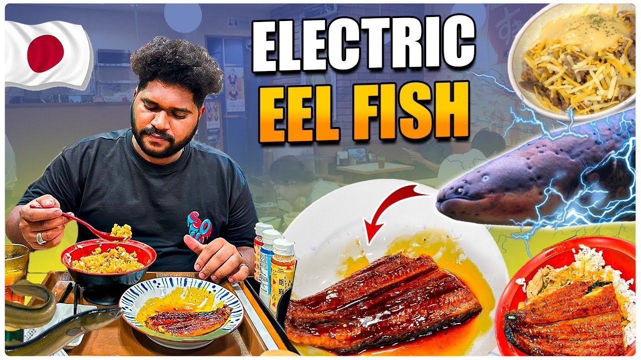 OMG 😳 !! Don’t Try This ELECTRIC EEL FISH - GRILLED EEL Japanese Food ...
