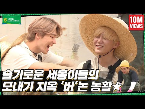 [GOING SEVENTEEN] EP.14 버논에서 모처럼 모내기를 하며 모든 내기를 해보았다 #1 (Planting Rice and Making Bets #1)