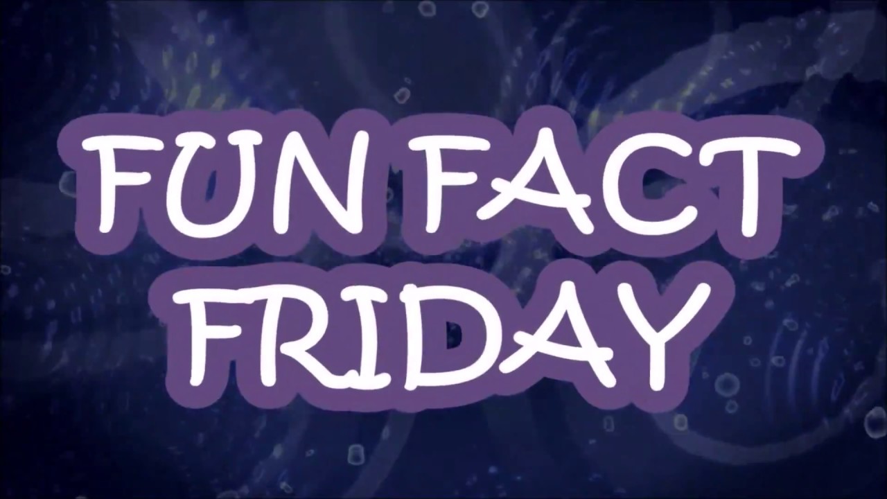 Fun Fact Friday #08 - December 29th, 2017 - YouTube