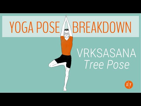 Yoga Pose Breakdown — Vrksasana (aka Tree Pose) | Adventure Yoga with Stephen Ewashkiw
