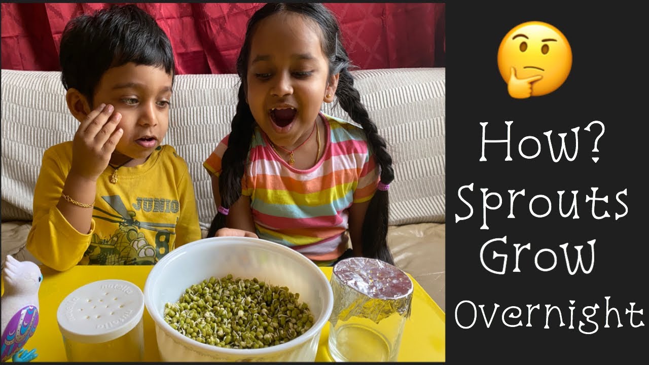 How to Grow Sprouts @ Home Overnight without Sprouts maker ? - YouTube