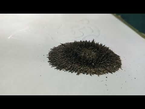 Tiger Magnetic sand art - YouTube