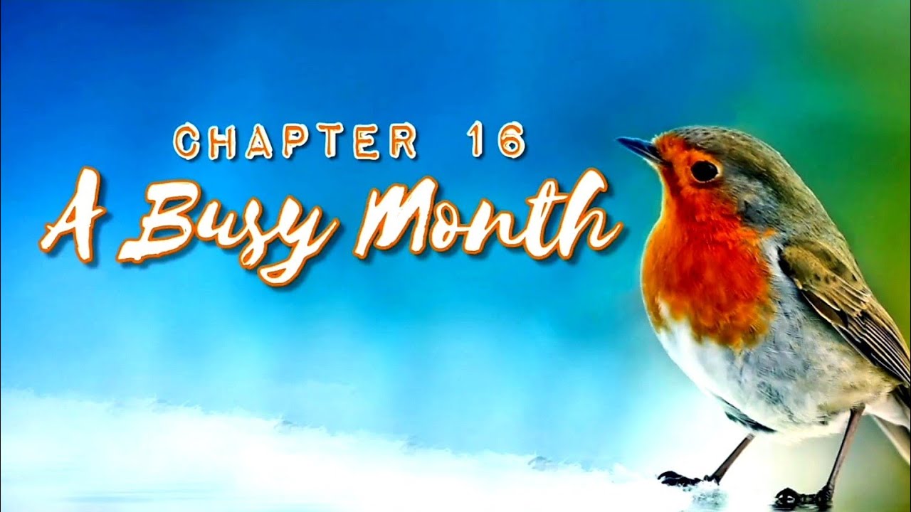E.V.S Class 4, Ch 16: A Busy Month - YouTube