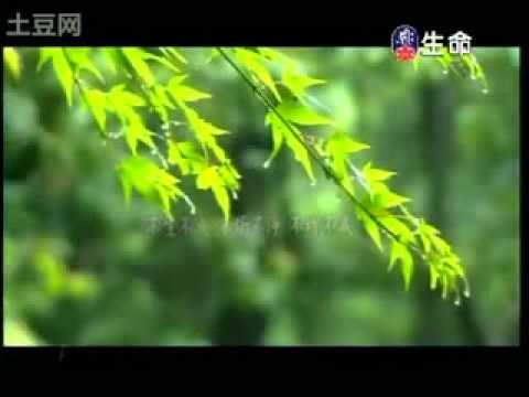 Heart Sutra Mantra - Jing Shanyuan (Yang Xiaolin) 般若心咒 - 敬善媛 (杨小琳 ...