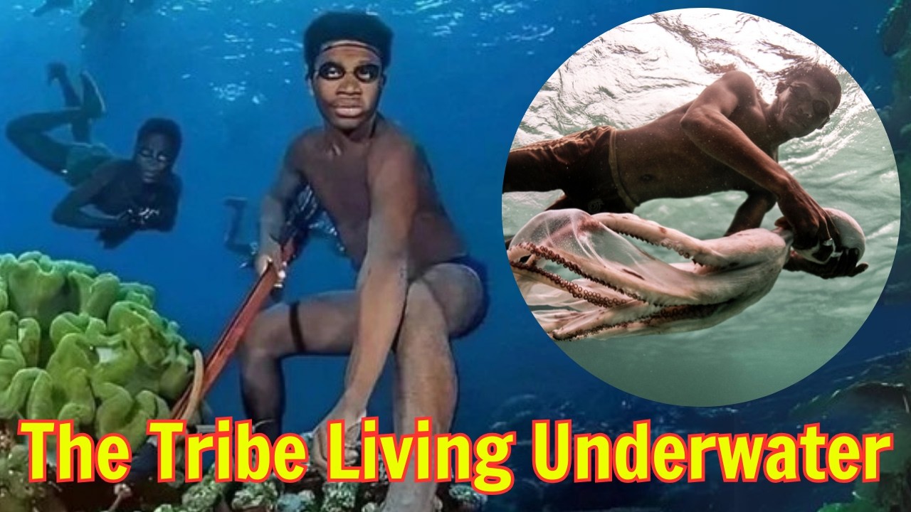 The Tribe That Lives Underwater Like Fish, Diving Deep for 8 Hours a Day - YouTube