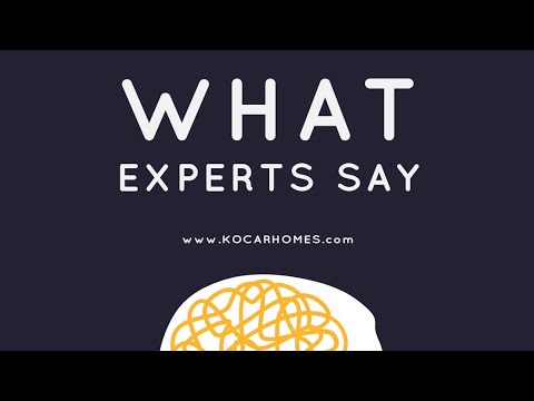 What Experts Say - YouTube