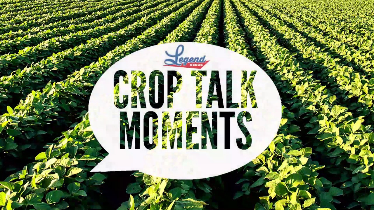 Crop Talk Moment LS 12E053N - YouTube