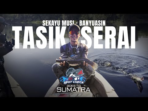 CASTING SAMA BANYAK KONTEN KREATOR SUMATRA DI SPOT TERSEMBUNYI, SAMPE ANGKUT 3 JENIS SNAKEHEAD.