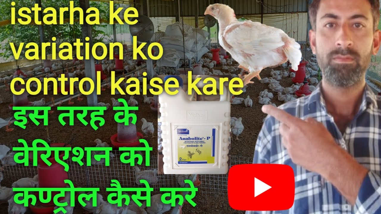 Anabolite p 👌best growth and variation broiler poultry medicine - YouTube