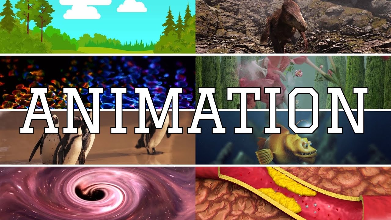 A diversity of animation, Calming Music Heals Stress, Anxiety and ...