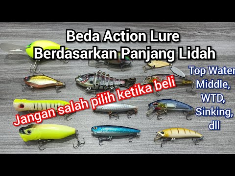 Fungsi Lidah Pada Lure Minnow