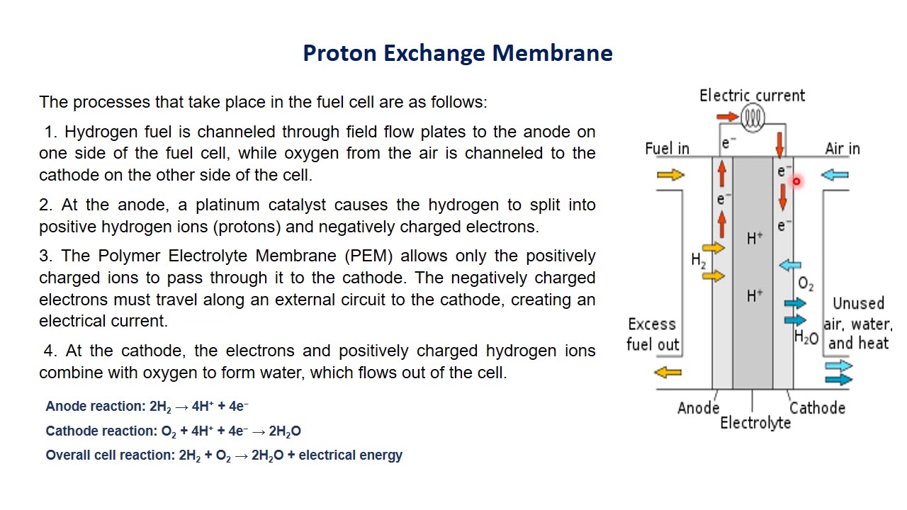 Proton Exchange Membrane - YouTube
