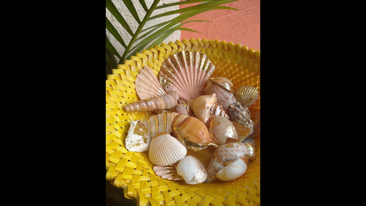DIY Gilded Shells | How to Gold Gild shell | Zero cost Shells Decor ...