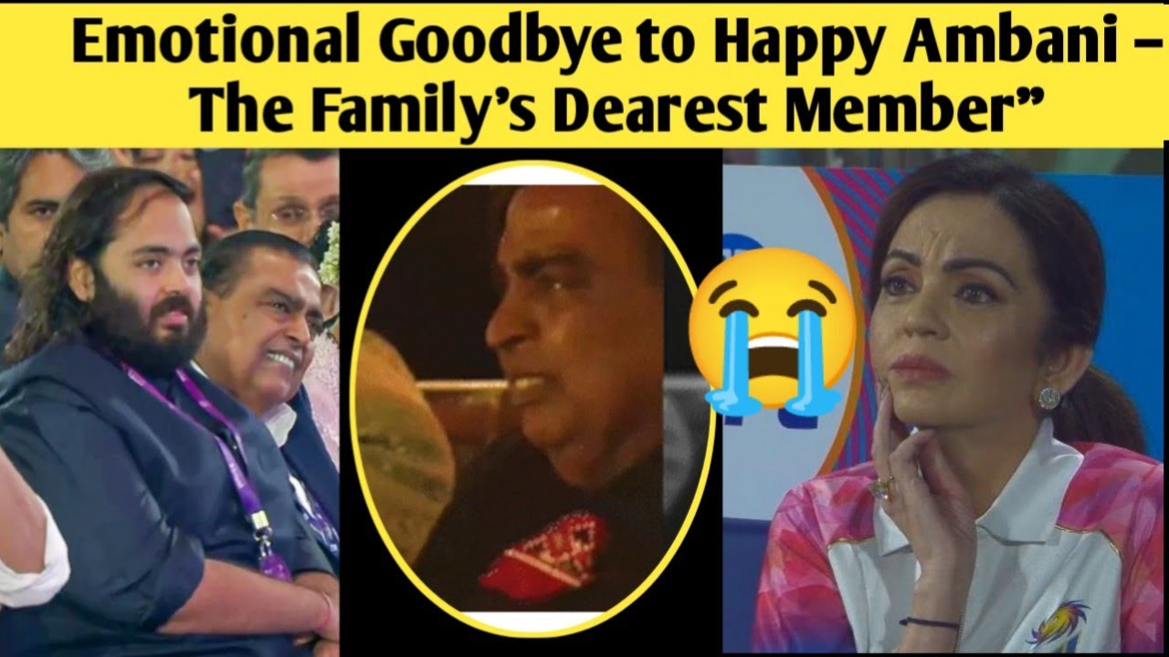 RIP Happy Ambani – The Youngest Star of the Ambani Family" - YouTube