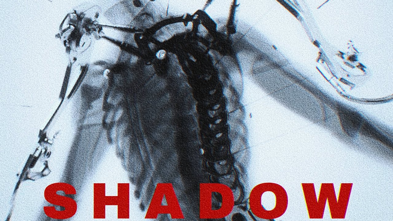 SILENT SCREAM - SHADOW - YouTube