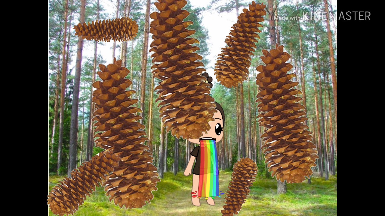 We're all pine cones// Gachaveres meme - YouTube
