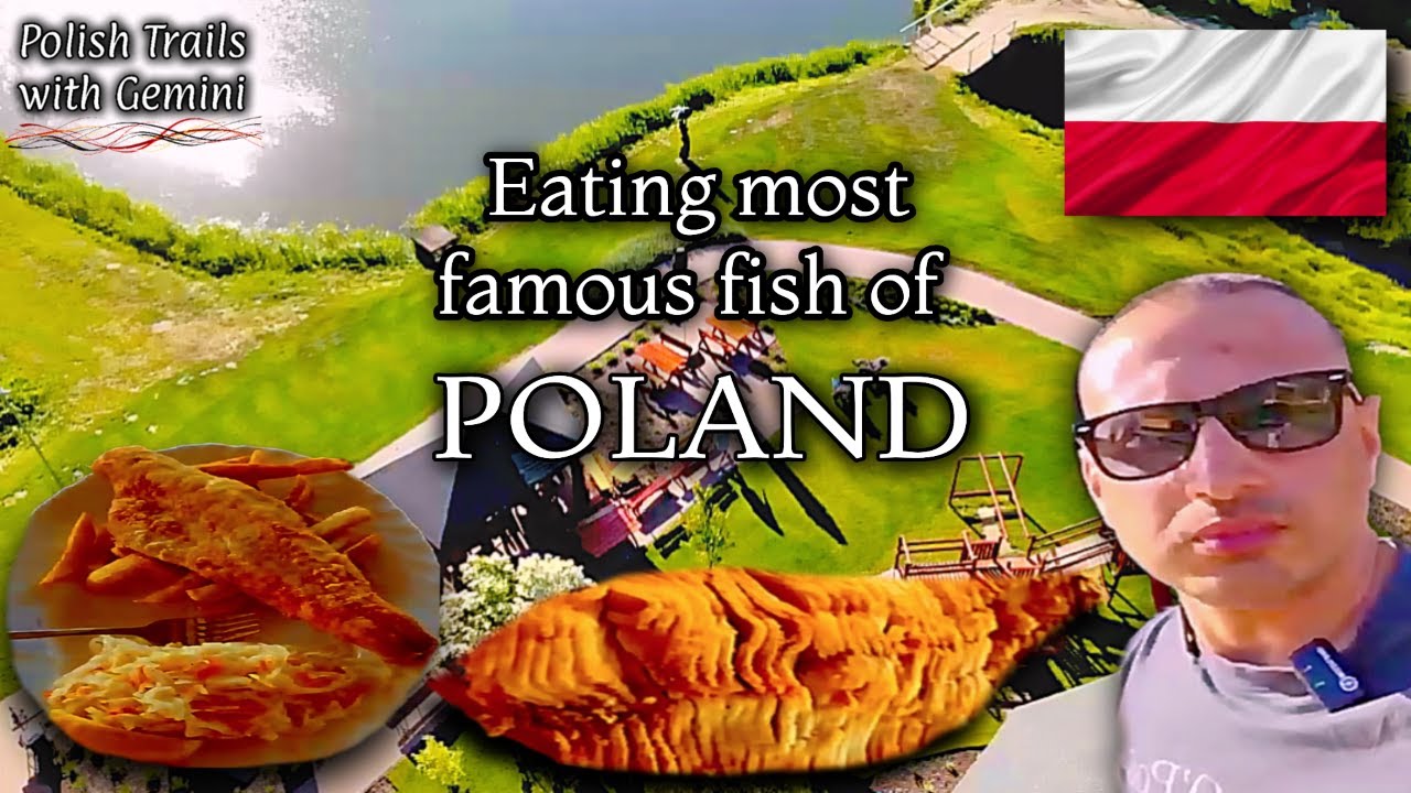 Eating best fresh fish in a beautiful seafood restaurant | warsaw ...