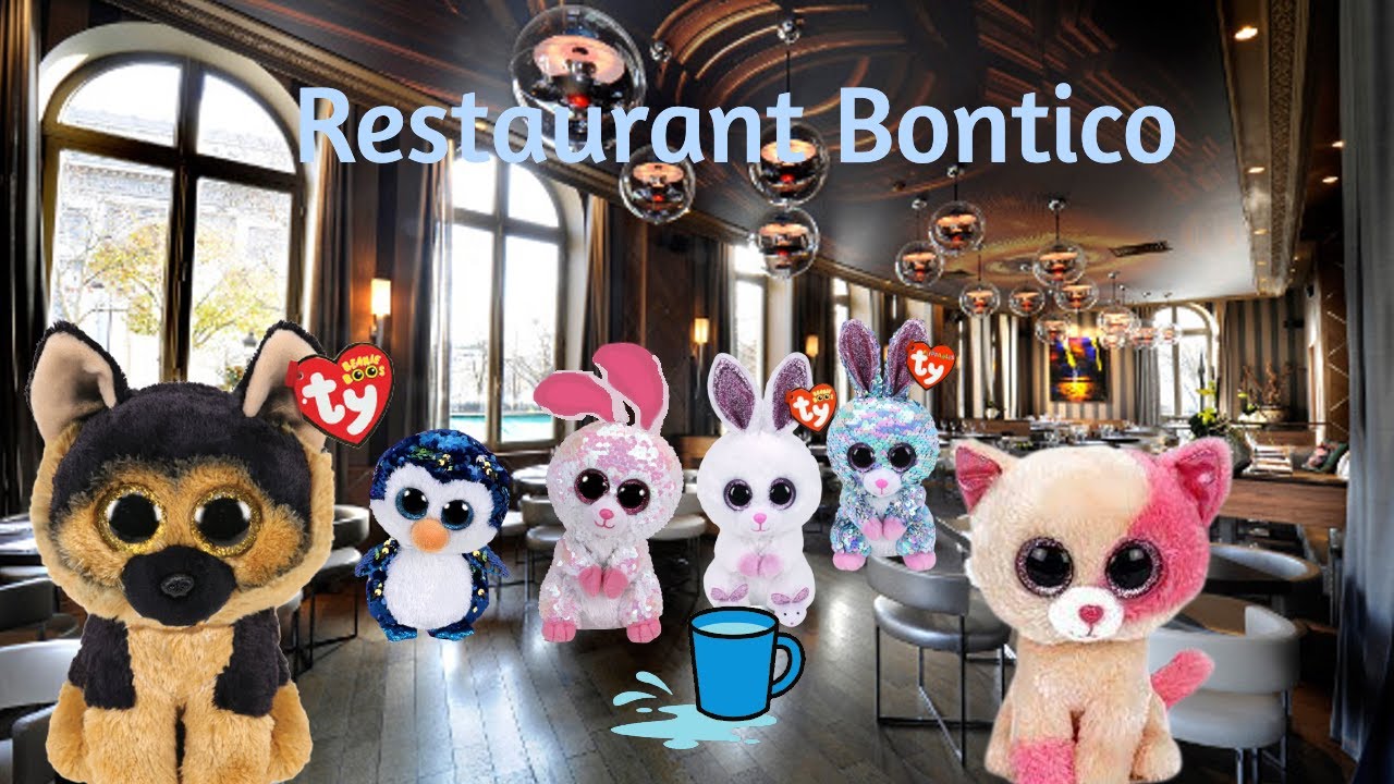 Beanie Boo Restaurant!! (it's a mess!) - YouTube