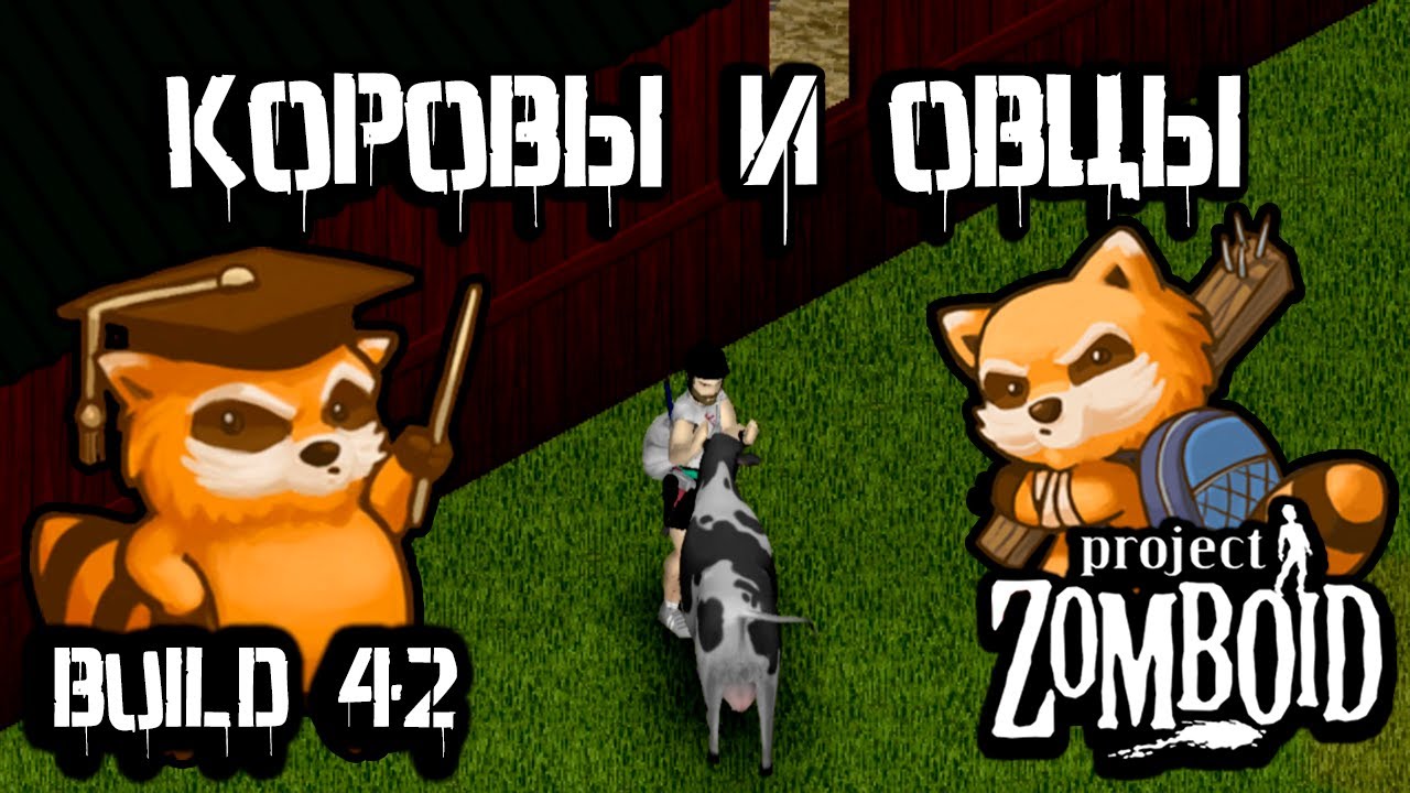 ЖИВОТНЫЕ | Build 42 | Project Zomboid 42.0 - YouTube