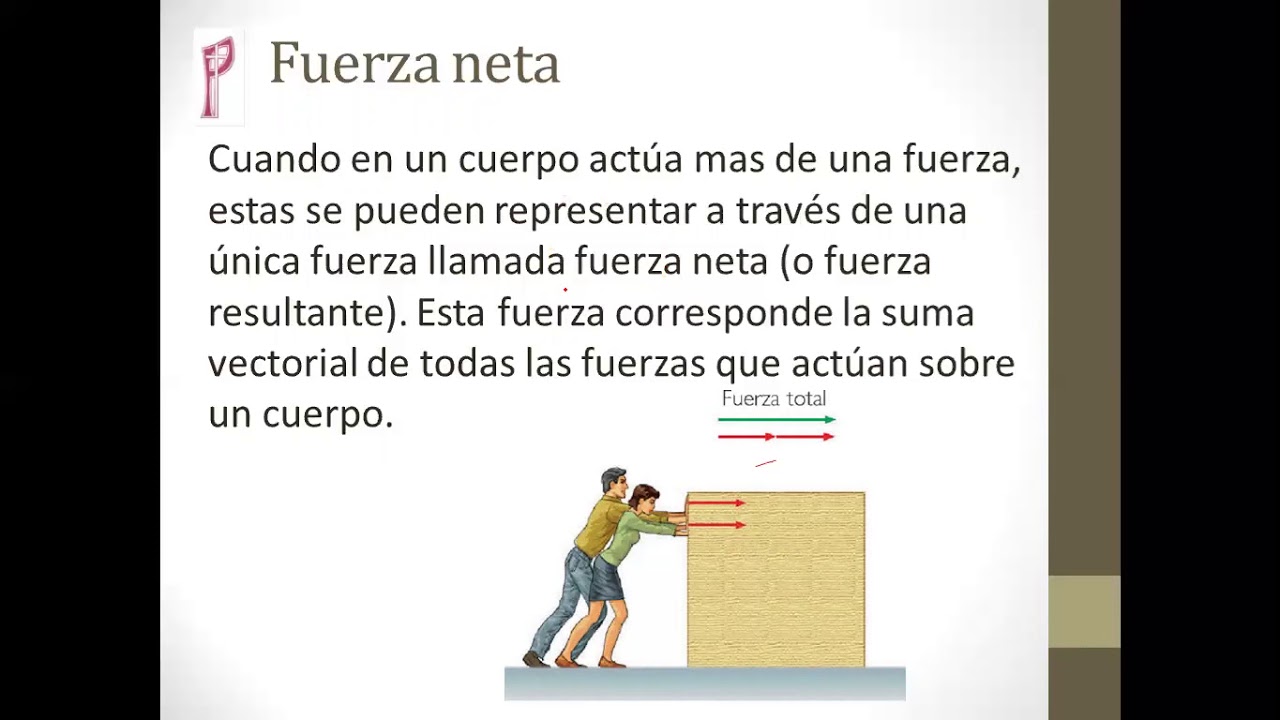 FÍSICA 7 Básico : (fuerza neta) - YouTube